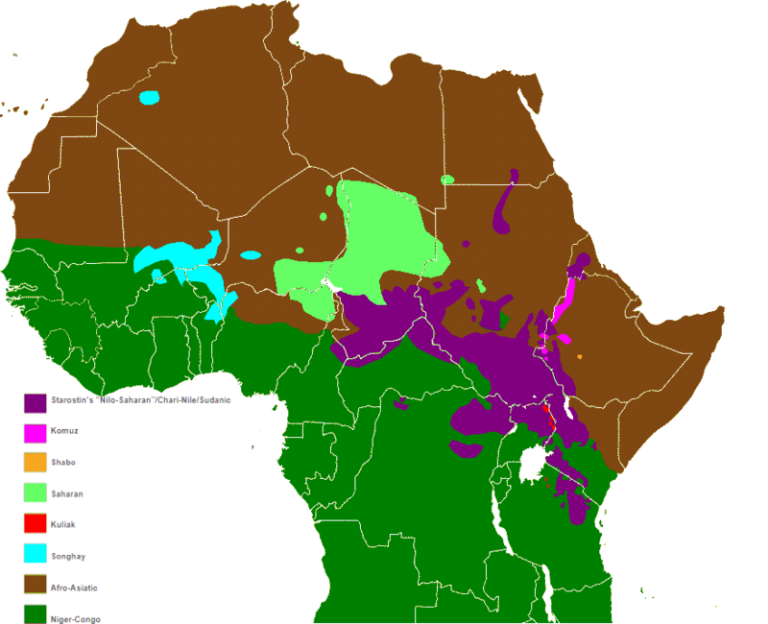 The Original African in Asiatic Northern Nigeria – AU Media